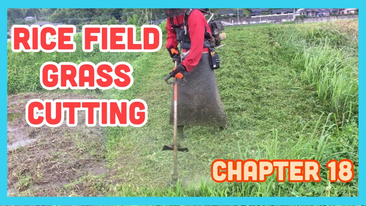 Rice Field 】 Grass cutting KAAZ (JAPAN)URP260AL-TB26 25cc Chapter18 ...
