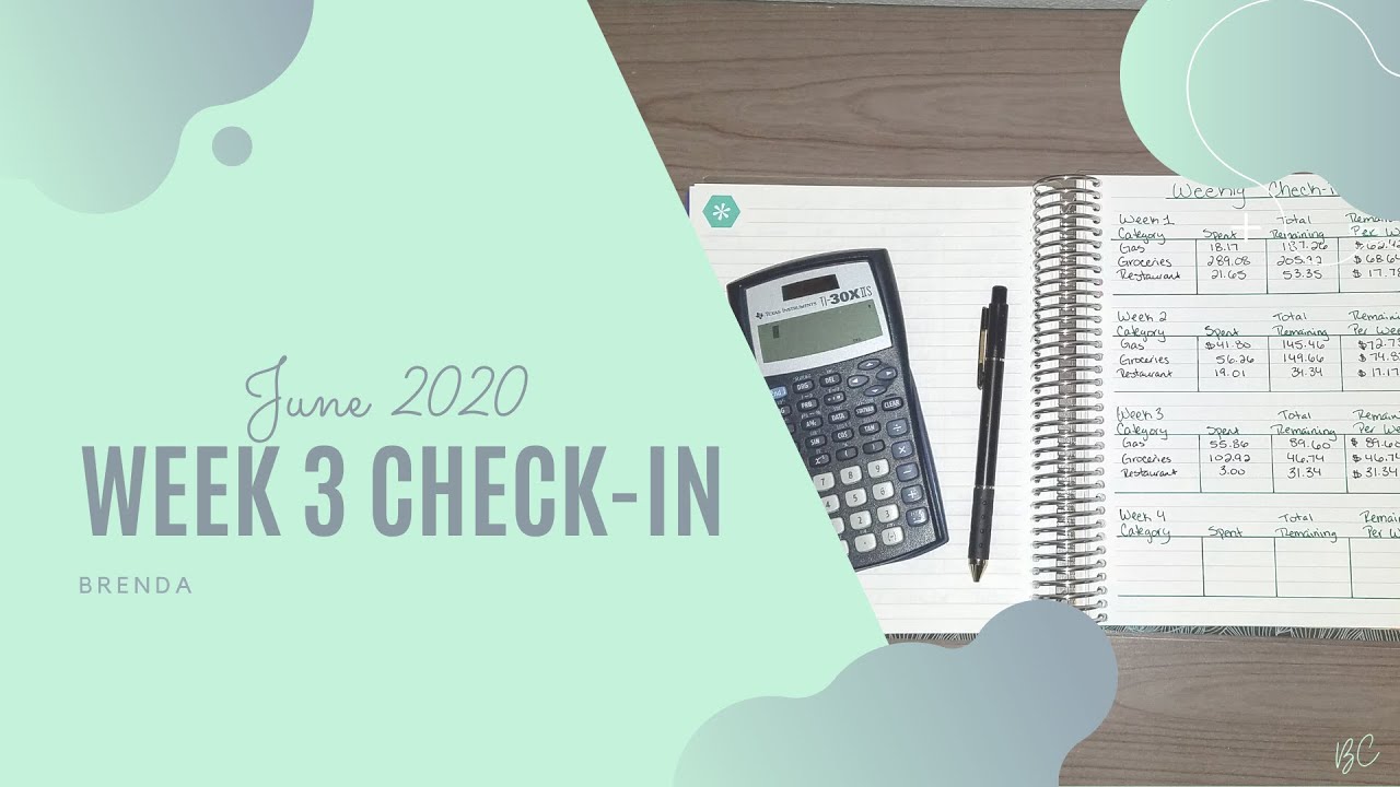 Week 3 Check-in | Budget with me | JUNE 2020 | - YouTube