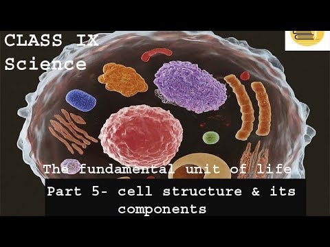 Cell Component's| The fundamental unit of life | Part 5 | class IX ...