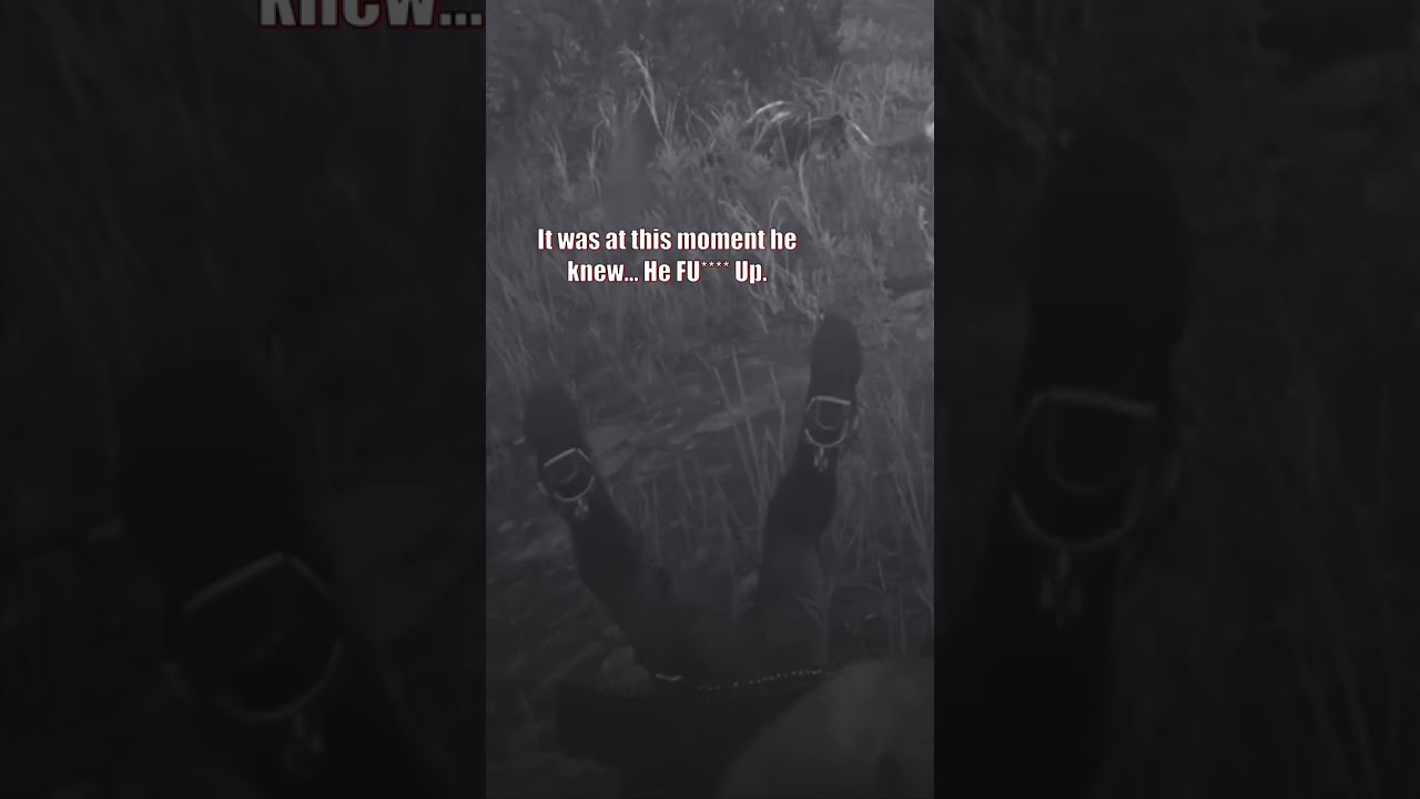 Opossum Plays Dead RDR2 - YouTube