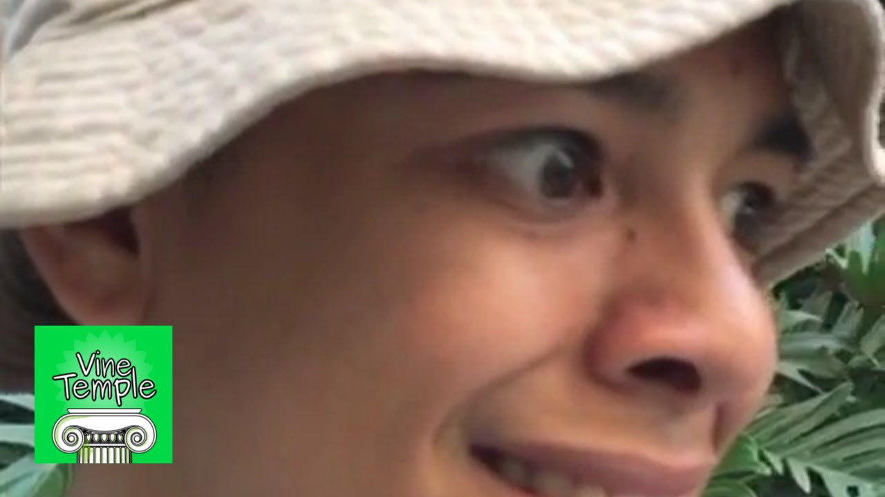 Popular Vines 29 July 2015 - YouTube