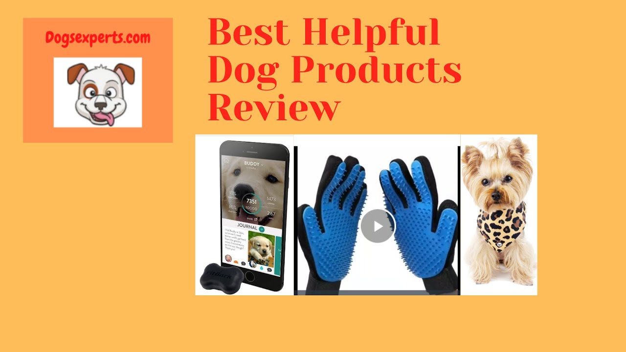 Best Helpful Dog Product Review - YouTube