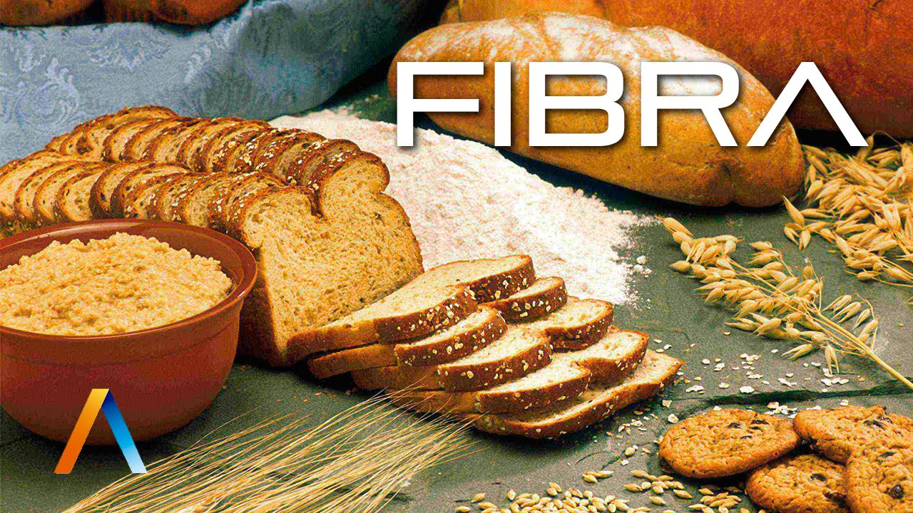 La Importancia de la Fibra - YouTube La Importancia de la Fibra - YouTube