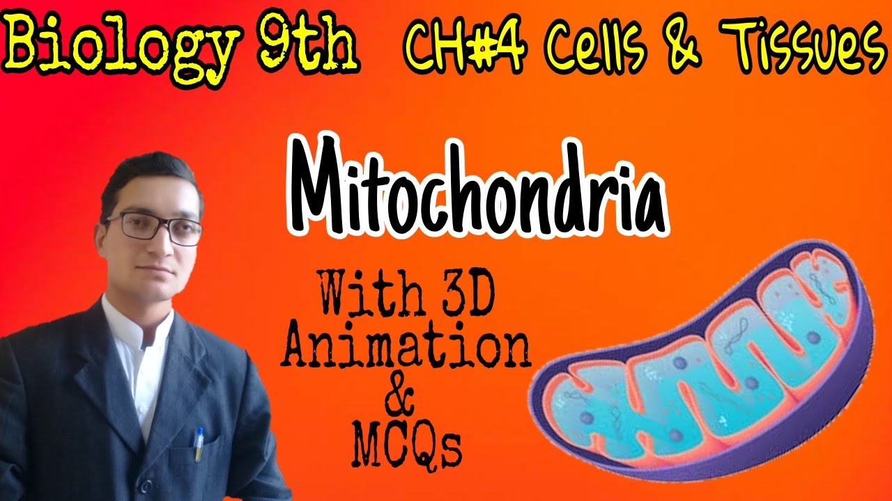 Mitochondria___Structure & Function with 3D Animation & MCQs__Biology ...