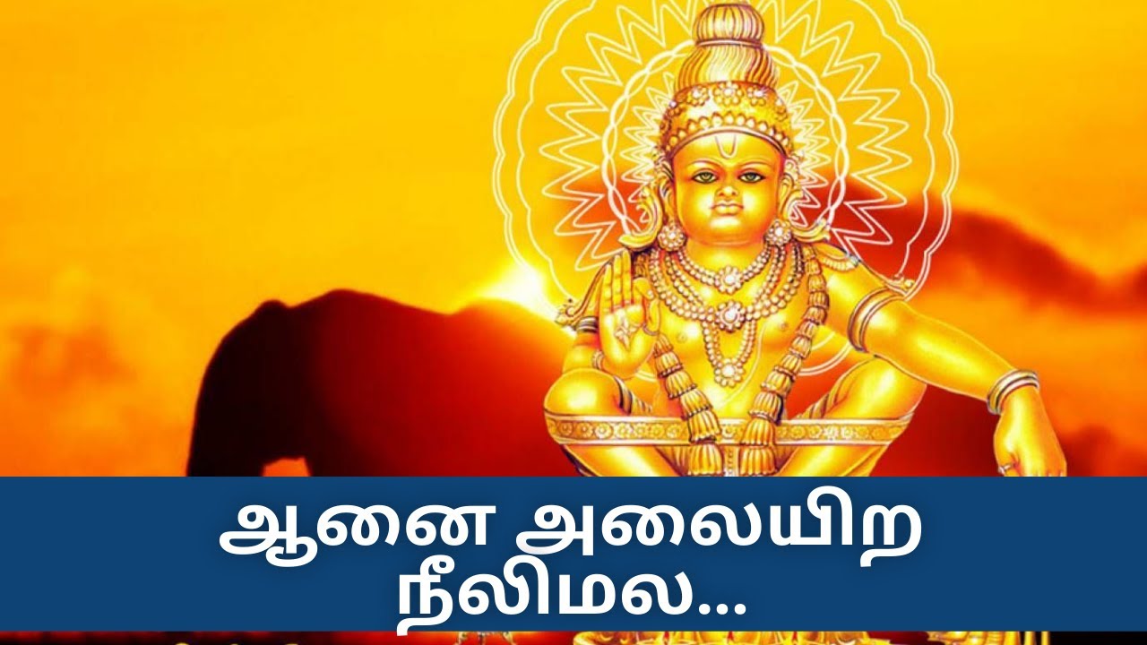 ஆனை அலையிற நீலிமல | Aana alayira neelimala | My Music Time - YouTube