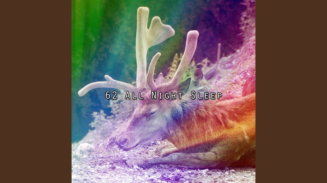 Shallow Shape - YouTube