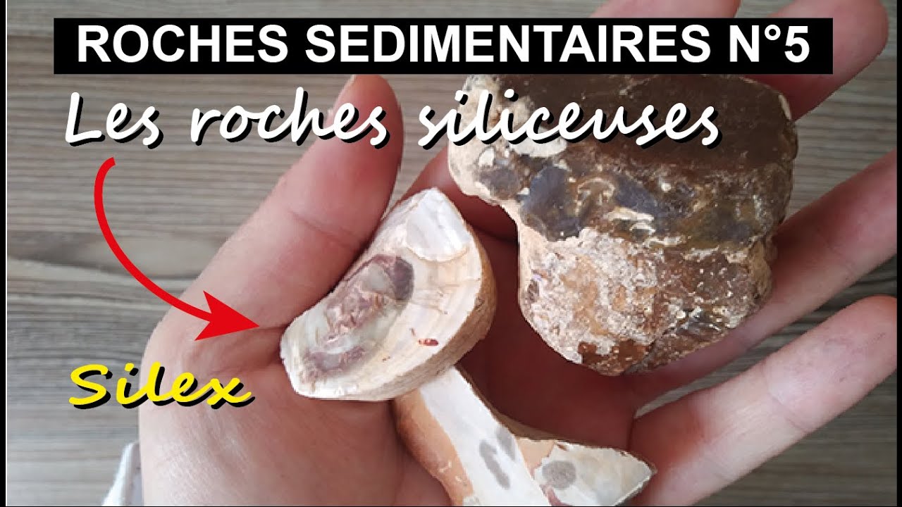 ROCHES SILICEUSES : Diatomite, silex... (par Mme Ruault-Djerrab) - YouTube