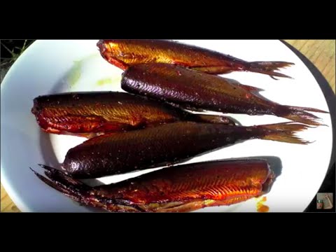 How to Smoke Fish in a smoke box - YouTube