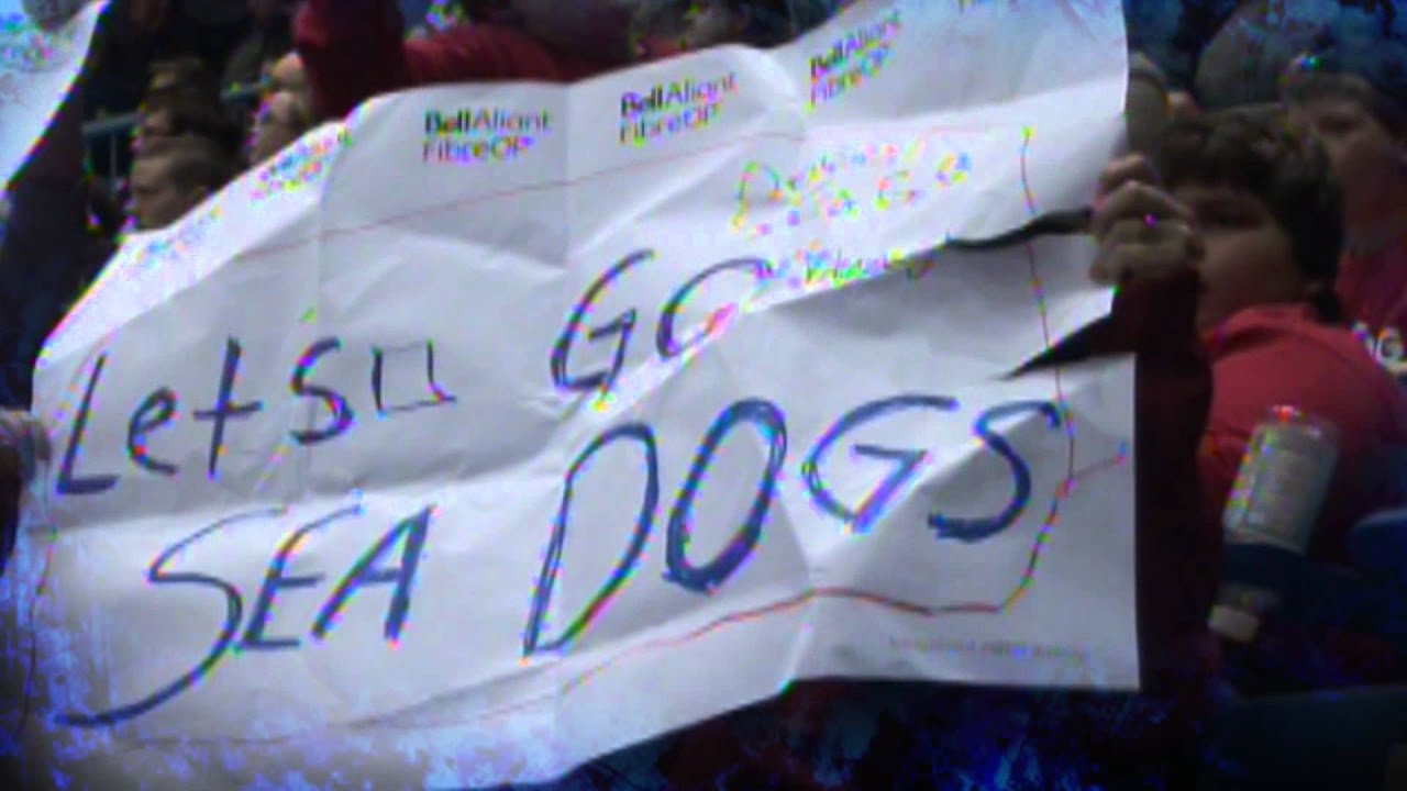 SAINT JOHN SEA DOGS 2011 PLAYOFF FINAL INTRO VIDEO ( WE DETERMINE THIS ...
