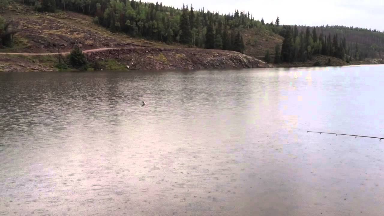 Manning Meadow - Fishing in the rain - YouTube