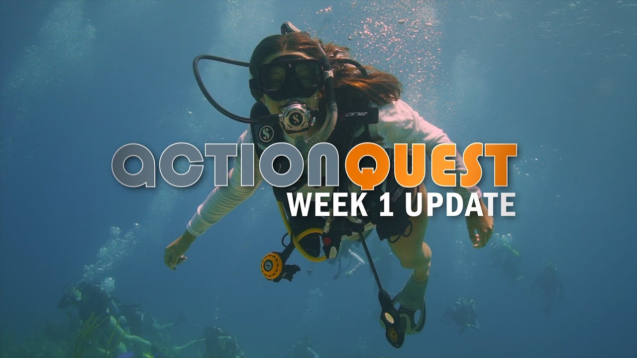 ActionQuest 2019, Session 1, Week 1 Update - YouTube