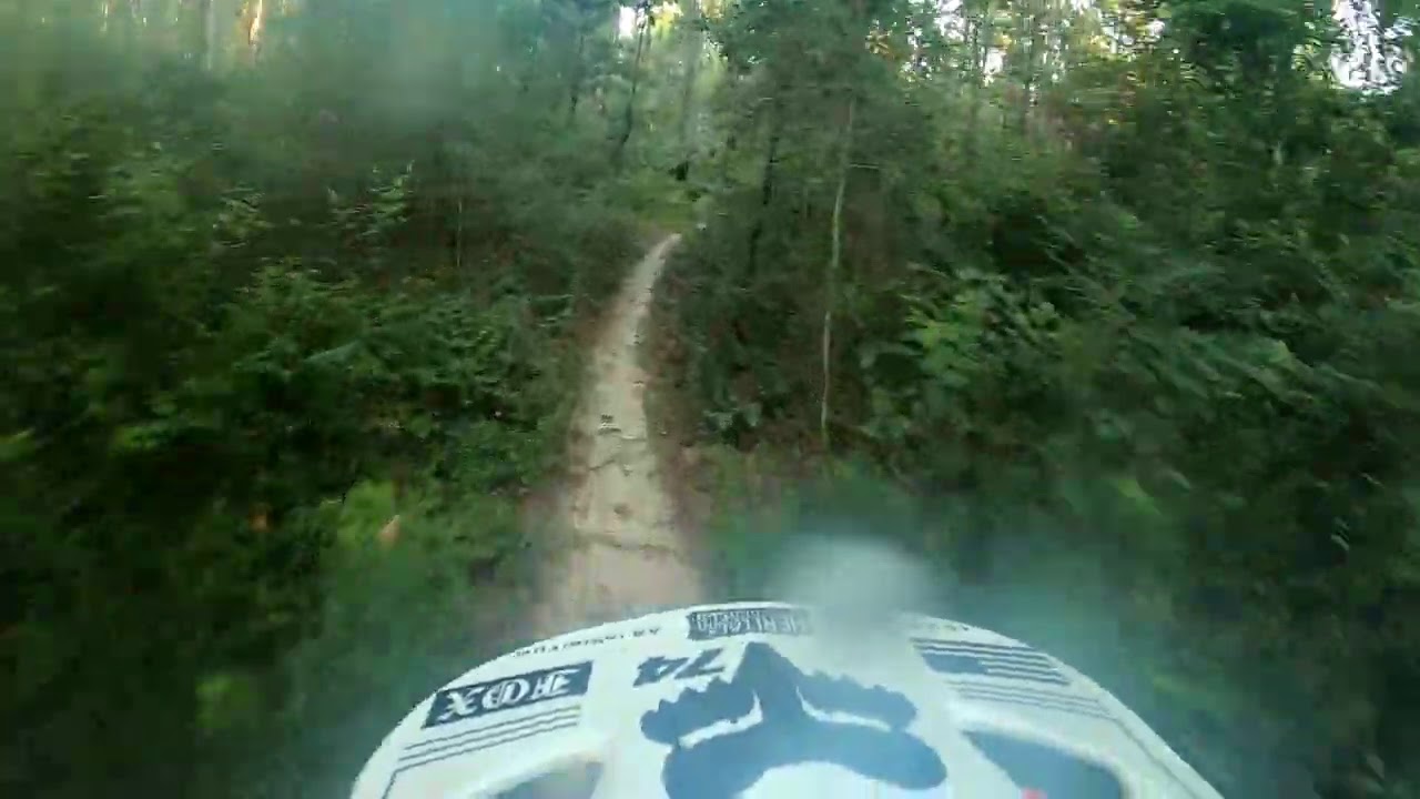 KTM DIRT BIKE HITS A TREE - YouTube
