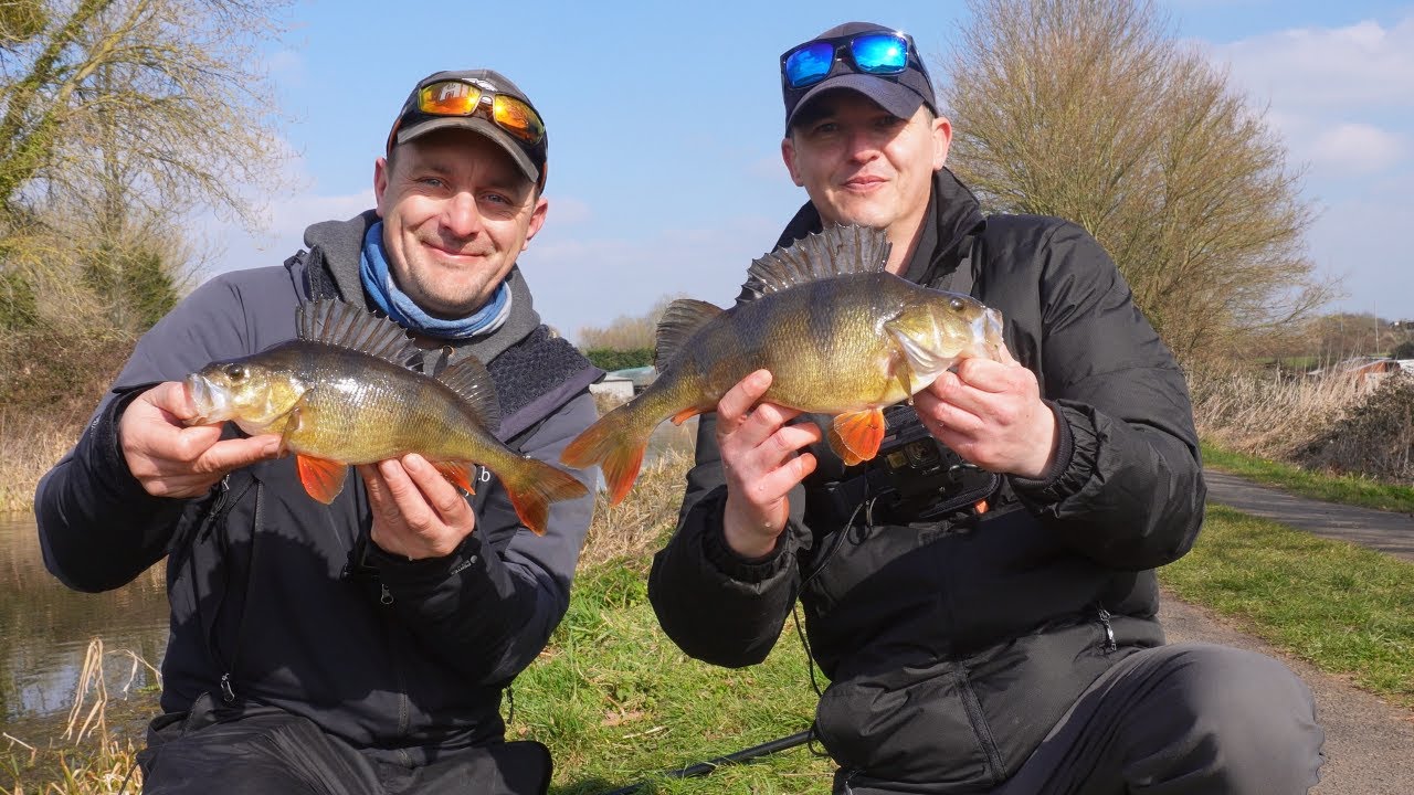 Perch Fishing On The Canal In Bright Conditions - YouTube