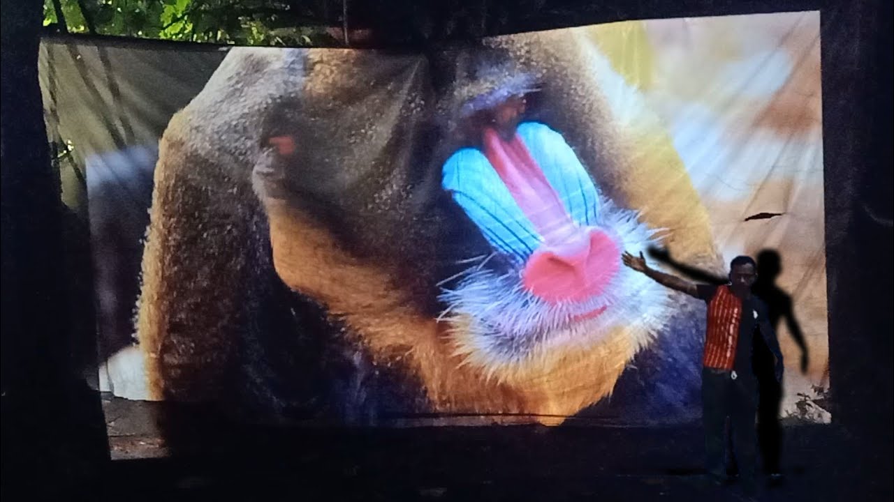 Movie Box 15 Projector 350 inch Screen Test - YouTube