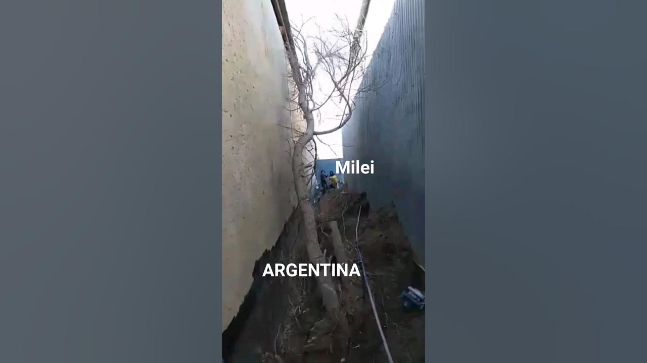 MILEI SACANDO A LA ARGENTINA 🇦🇷🦁😱😂!!!¡! #argentina #milei # ...