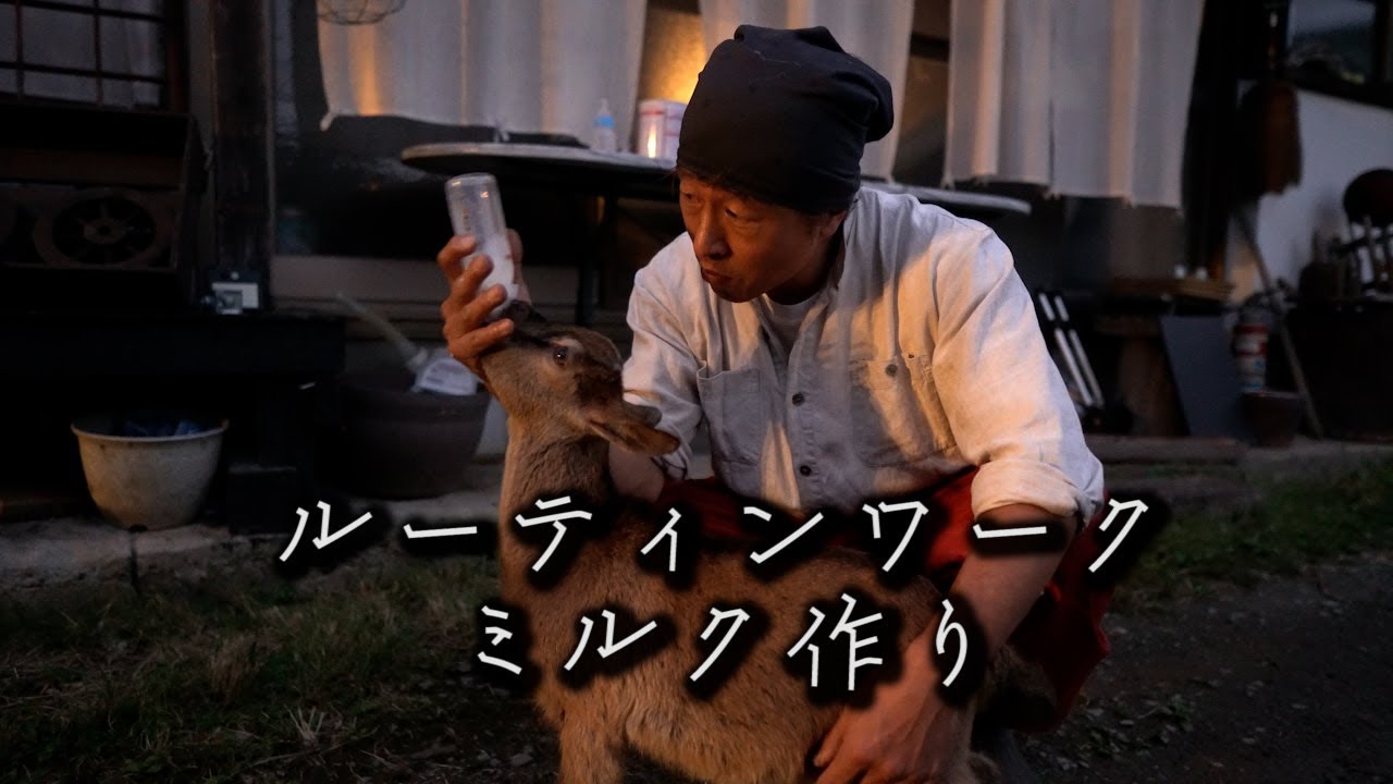【peat＆momo】子ヤギにミルクを与える Goat cafe in japan at Mt.Kentoku in Yamanashi ...