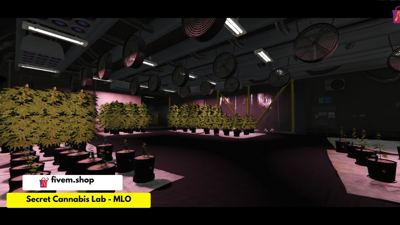 Secret Cannabis Lab FiveM MLO | Research Lab MLO - YouTube