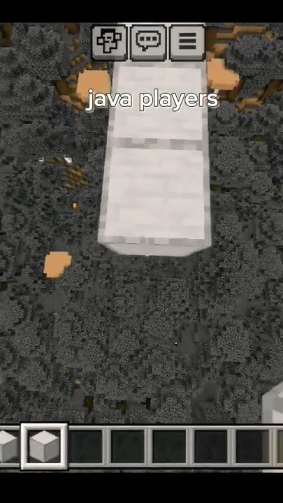 Minecraft Java Player VS Bedrock player🤣#minecraft #minecraftshorts ## ...