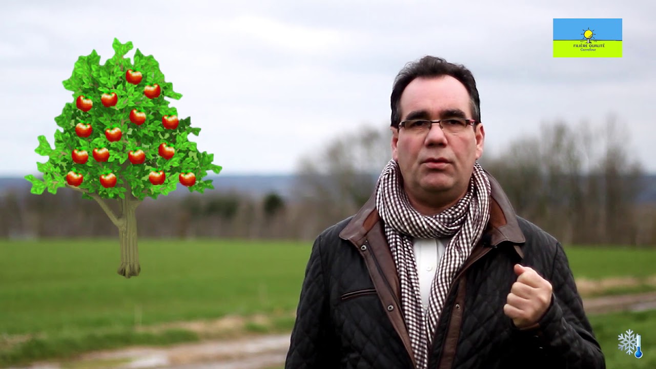 🍎 Vidéo Filière Qualité Carrefour - Charlie Gautier - YouTube