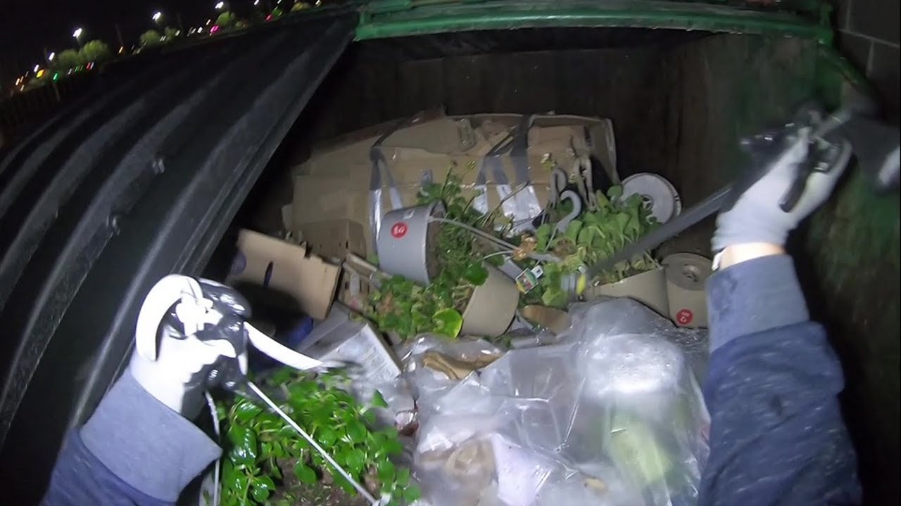 Dumpster Diving saving things from the Landfill! - YouTube