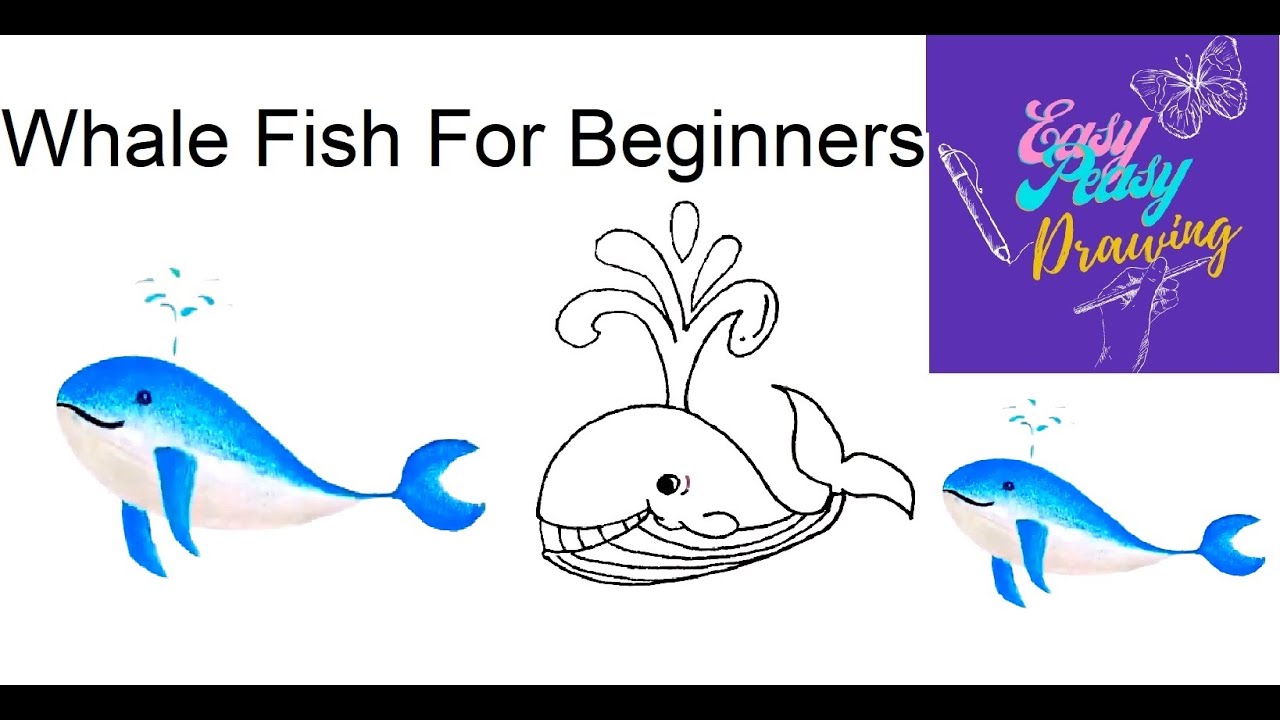 How To Draw Whale Fish For Beginners - YouTube