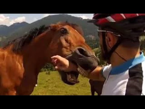 Fail Compilation /SalAm Alaikum  (Try Not to laugh 🤣)