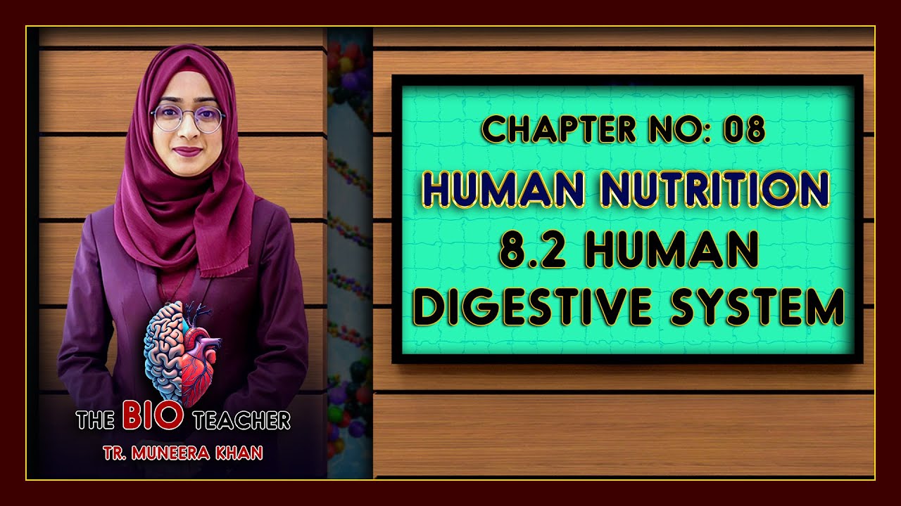 8.Human Nutrition | 8.2 Human Digestive System | Biology 5090 | O ...