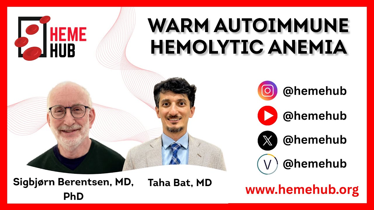 Warm Autoimmune Hemolytic Anemia | Sigbjørn Berentsen, MD, PhD and Taha ...