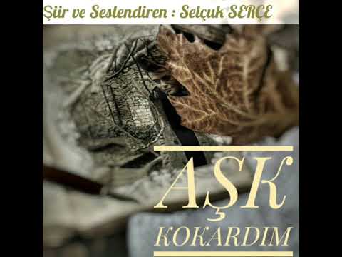 Duygusal Kısa Şiirler #13 ( Aşk  Kokardım )