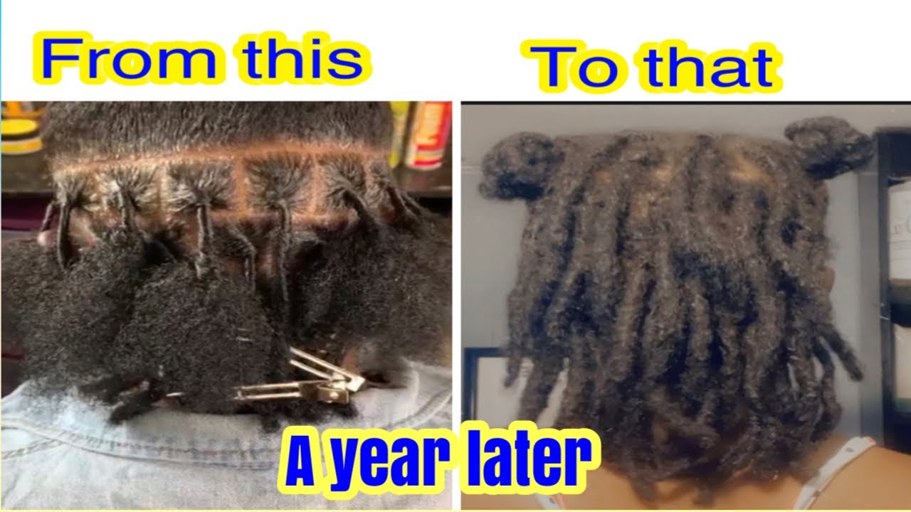 My 1 year Locs update | instant Locs update | DDL Nation - YouTube