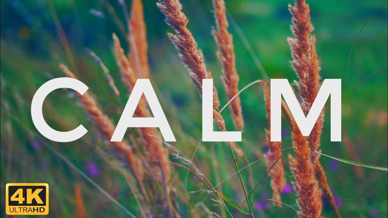 Calm Ambient Music with Beautiful Grass Landscapes | 4K UHD Video - YouTube