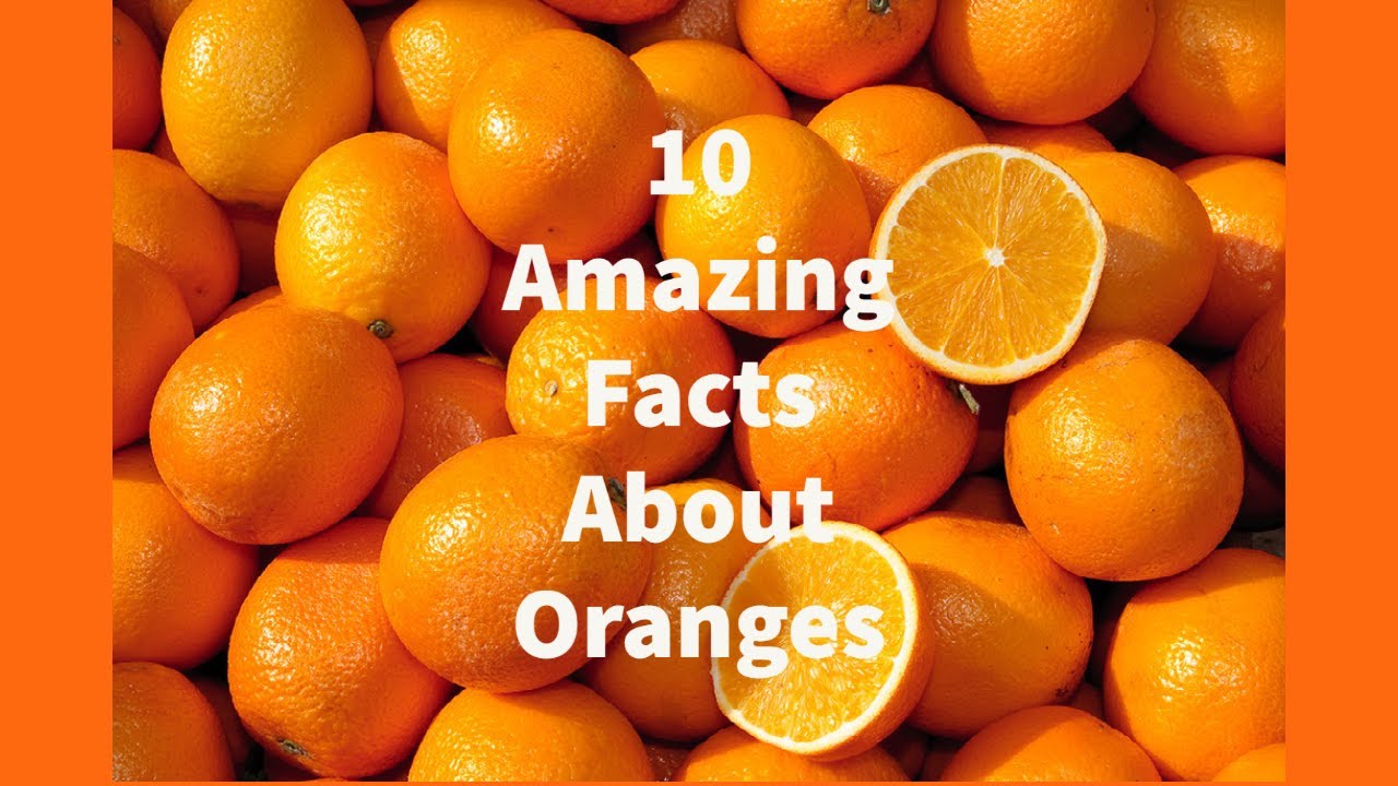 10 Amazing Facts About Oranges! - YouTube