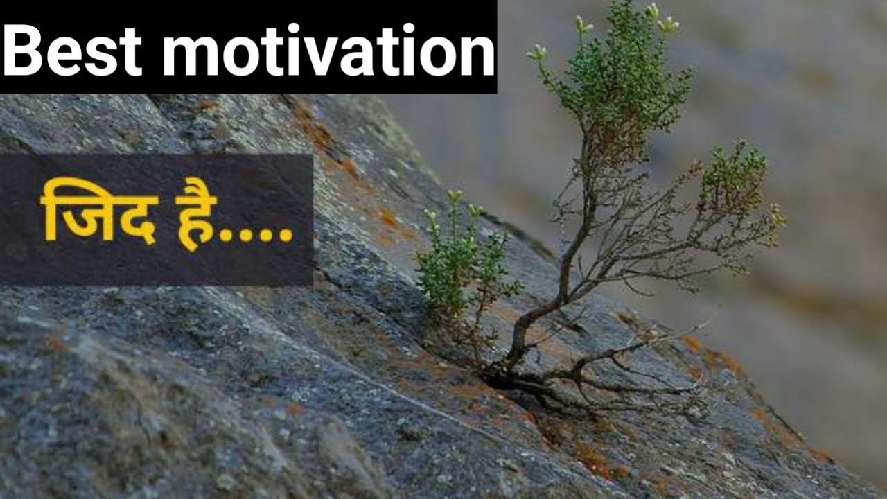 A BEST MOTIVATION VIDEO FOR HARD STUDY|motivation video for study hard ...
