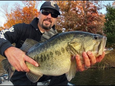 10lb. Bass Love The Hula Dance! - YouTube