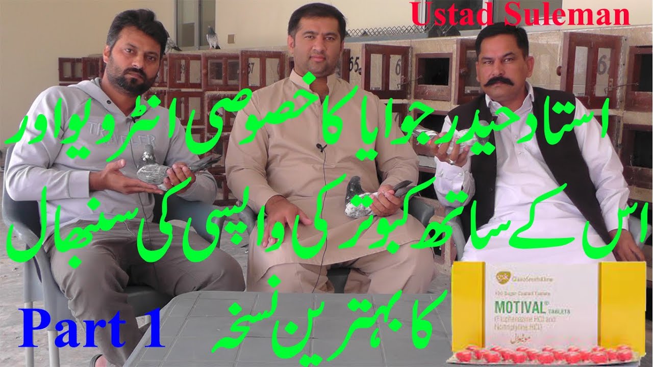ustad haider jowaya ka khasosi interview or is ka sath kabootro ki ...