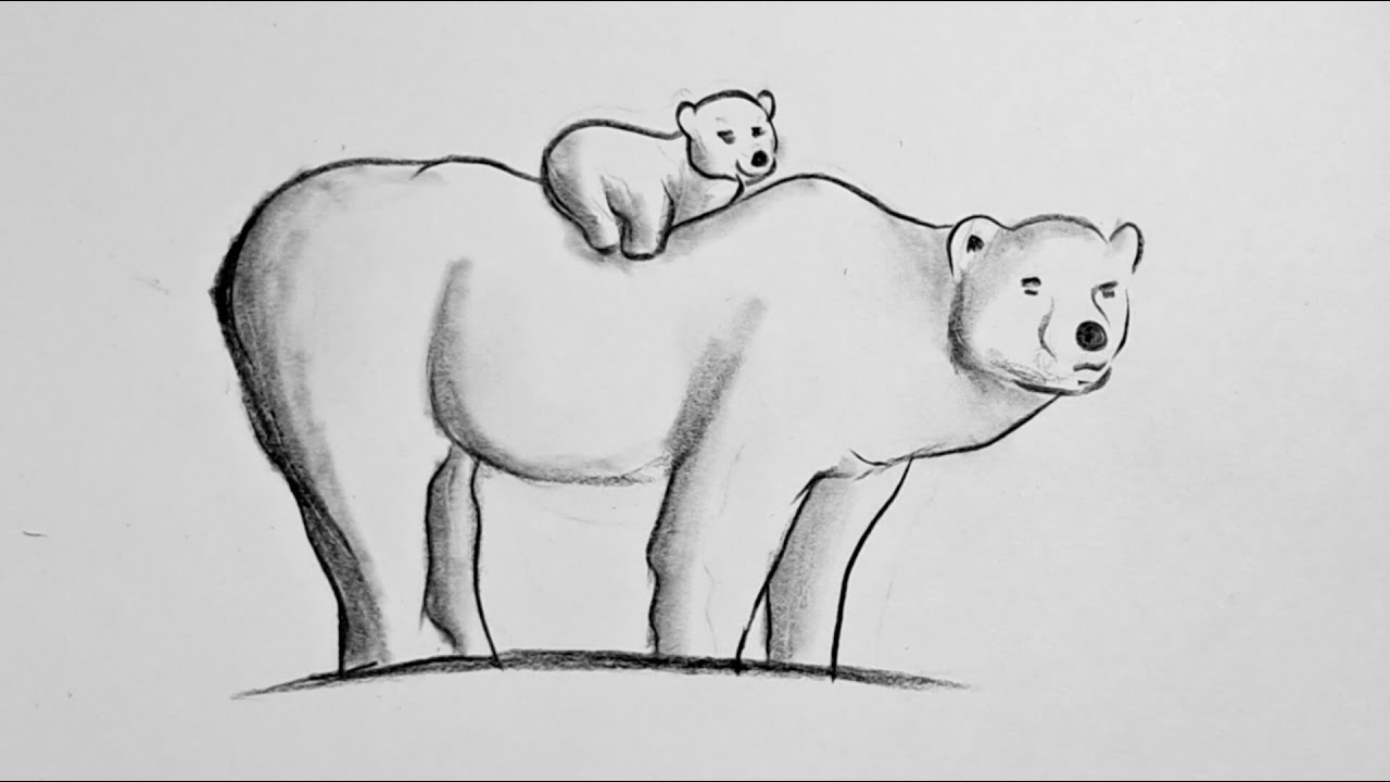 How to draw a Polar Bear 🐻‍ ️ | Easy Polar Bear drawing step by step ...