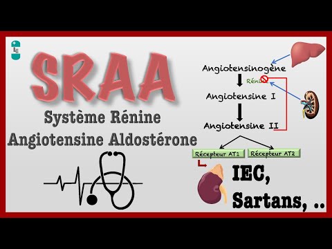 Système Rénine Angiotensine Aldostérone SRAA et ses bloqueurs : IEC, Sartans