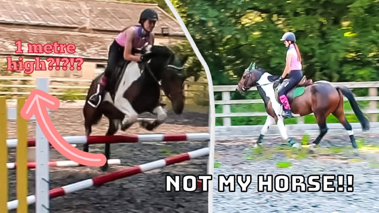 RIDING MY FRIENDS HORSE FOR THE FIRST TIME | jumping 1m after 4 years ...