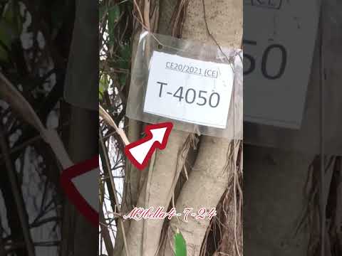To SHUN SUM YUEN flower farm with the gang-AMAW! - YouTube