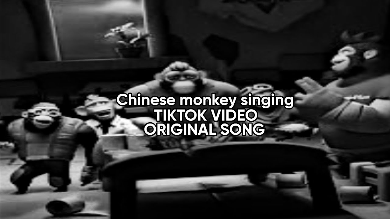 Monkeys singing Chinese TikTok ( original song ) [ Ngây Thơ - Tăng Duy ...