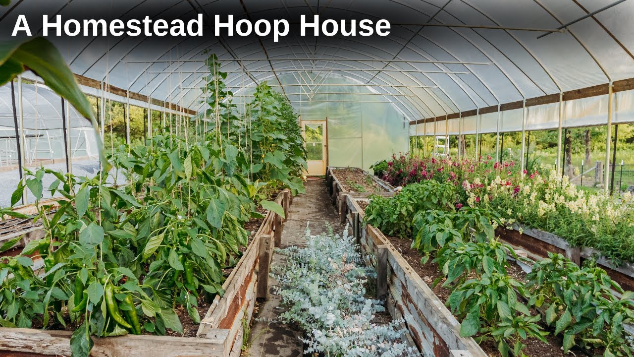 Grow Year-round on Your Homestead in a Hoop House - YouTube