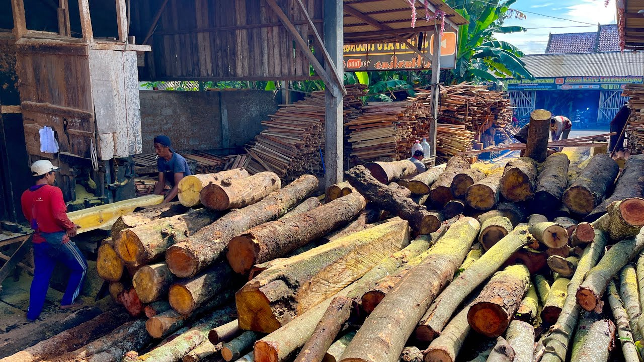 Decades-Old Jackfruit Wood Found Ready for Sawing into Blocks - YouTube