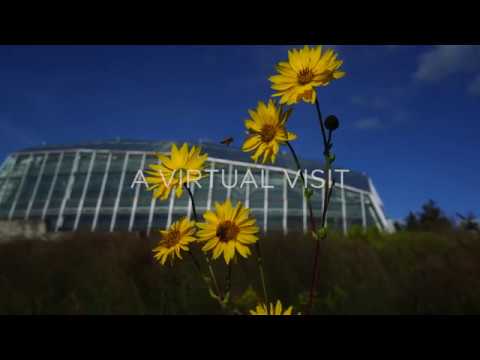 Botanical Gardens: A Virtual Visit - YouTube