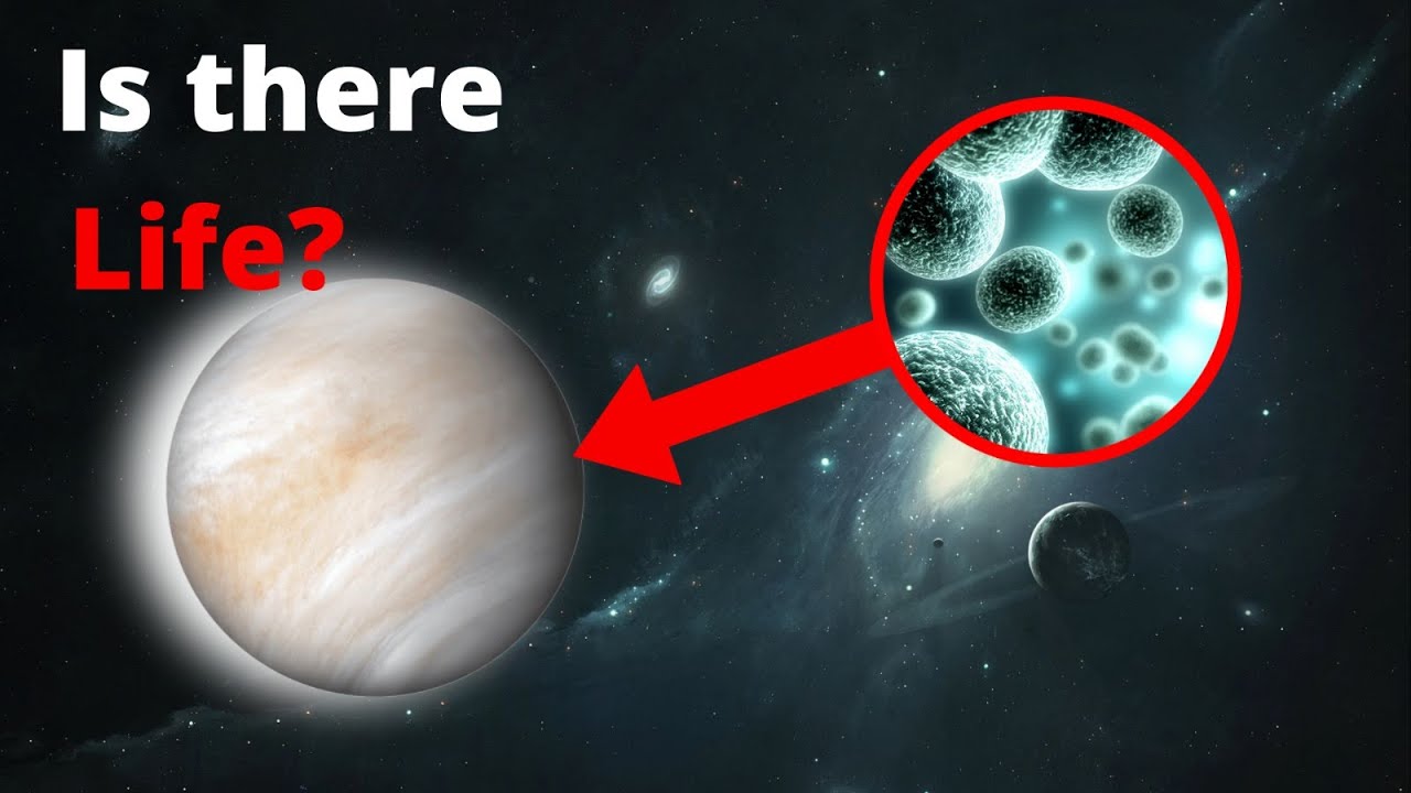 Scientist JUST DISCOVERED Life On Venus! - YouTube