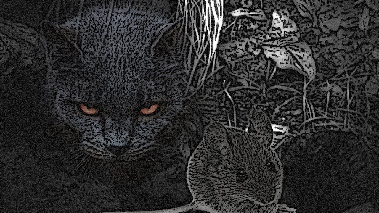 Dangerous Mouse Maneuvers - YouTube