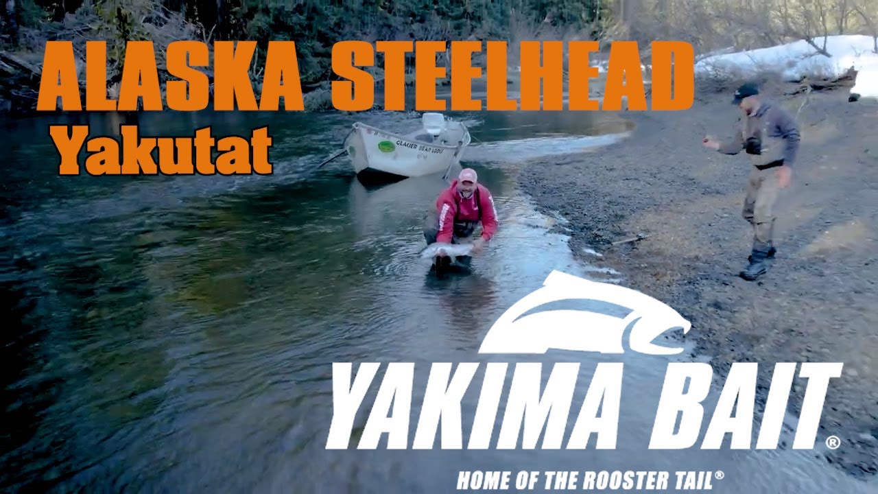 Yakima Bait, Takes on Big Steelhead, Alaska - YouTube