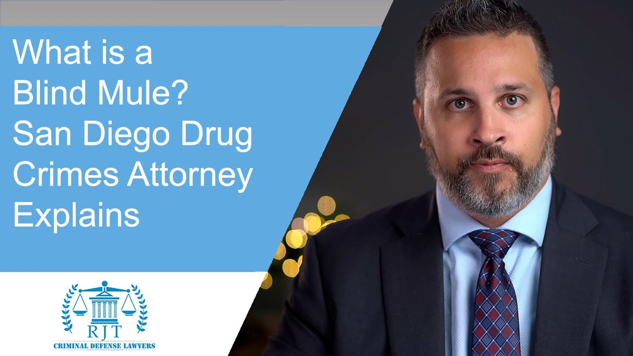 San Diego Drug Crimes Attorney Explains What a Blind Mule Is - YouTube
