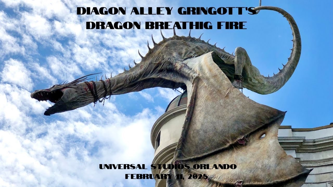 Universal Studios Orlando Diagon Alley Dragon Feb 11, 2025 - YouTube