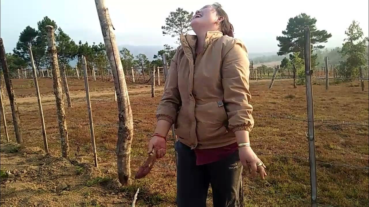 Mu saib qos thiab de taum los noj nawb - YouTube