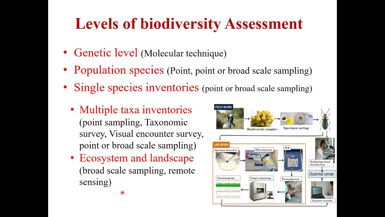 Biodiversity Monitoring Part-I (Methods for sampling Flora) - YouTube